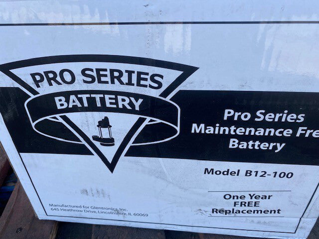 Pro Series 12-Volt 100-Amp Hour Maintenance Free AGM Standby Battery B ...
